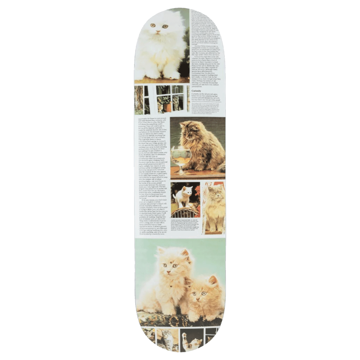 Studio Cat Book Curiosity Skate Deck 8.125" – Pacific Boarder